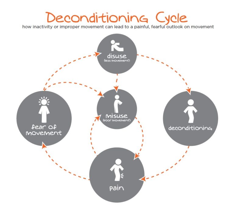 movnat_deconditioning_cycle_flowchart | John Sifferman